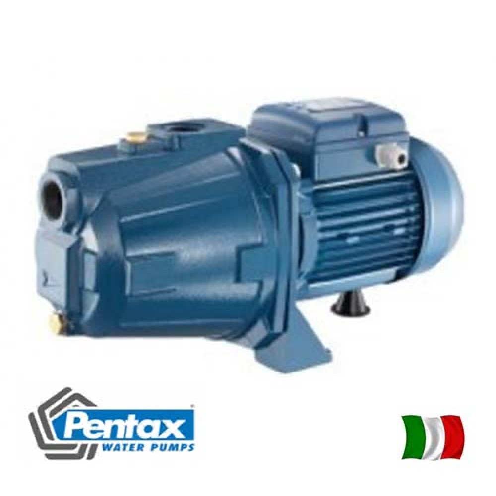 Surface Electric water Pump Cam100 pentax Italy brass 220V 1HP