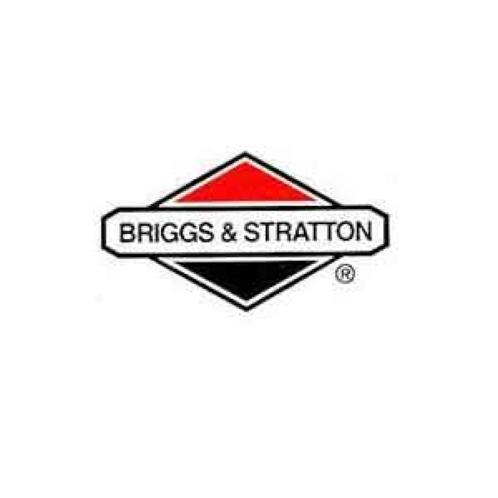 Briggs&Stratton