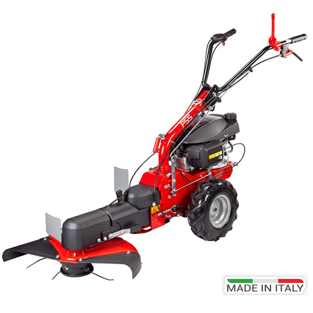 Multitool P55 Eurosystems Italy Briggs & Stratton with lawn brush cutter