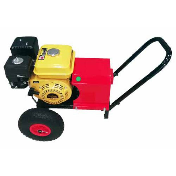 Γεννήτρια - Δυναμό ραβδιστικού 12 Volt Interpower 6,5HP OHV